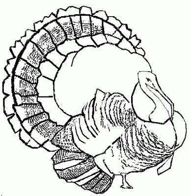 Indyki - Kolorowanki do druku