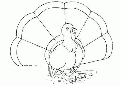 Indyki - Kolorowanki do druku